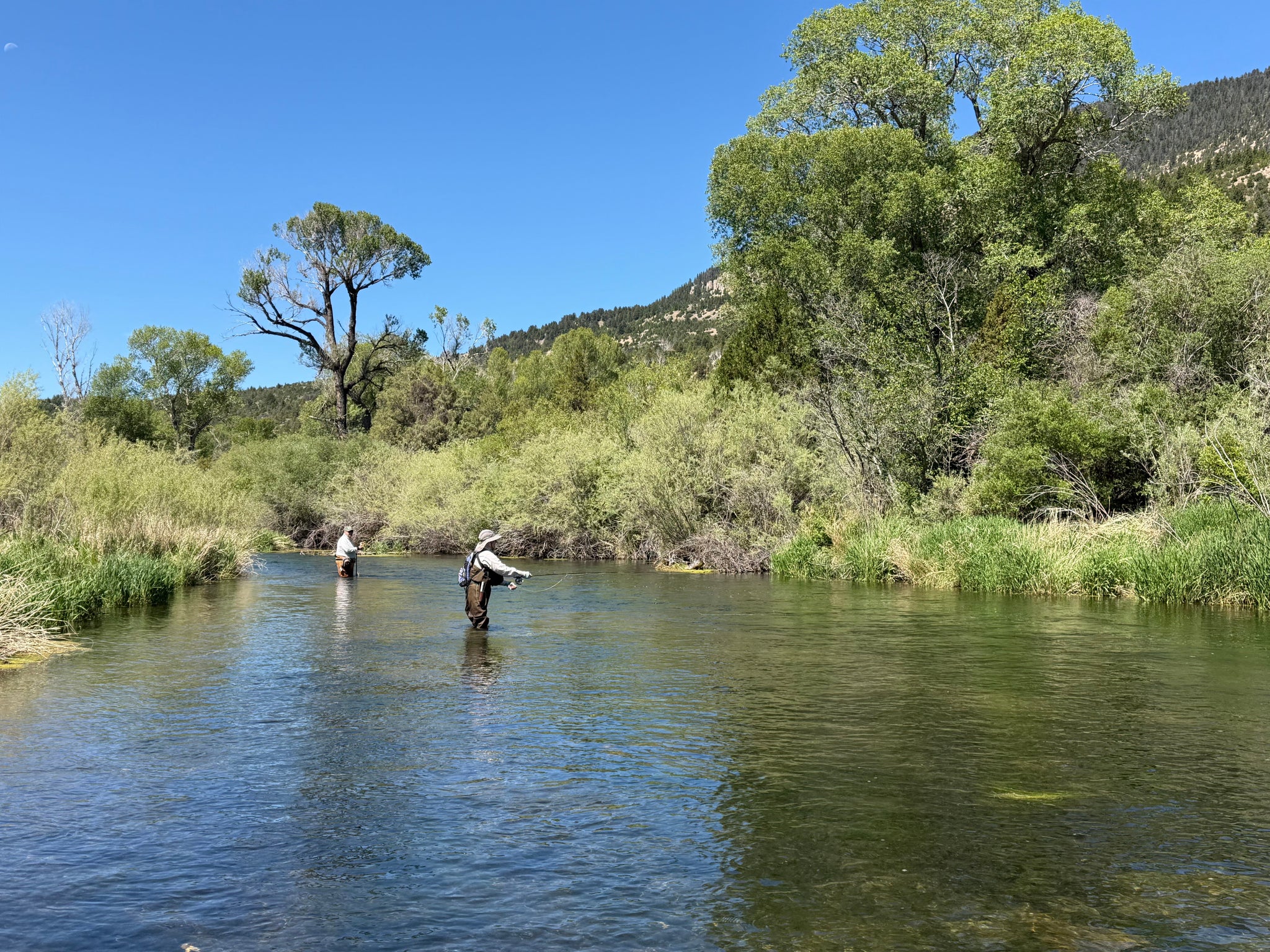 Yellowstone River and Livingston Area Fishing Report - June 17, 2026